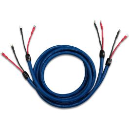 Clear Cygnus Speaker Cable (Pair)